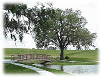 Crystal River Florida, Inverness Florida, Sugarmill Woods, Citrus Hills ...